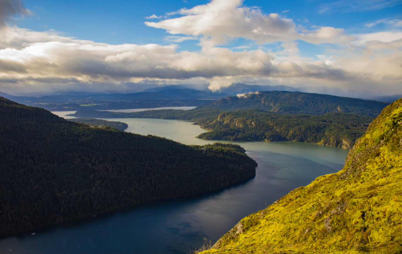 Forestry | Cabin Works