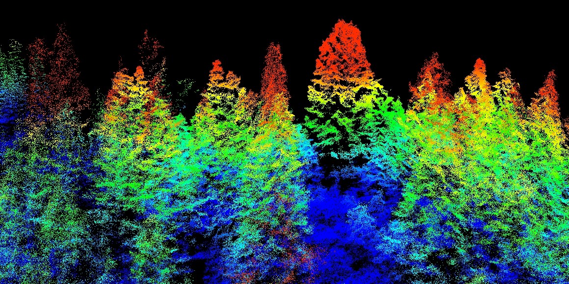 Tactical and Spatial Planning | Cabin Works